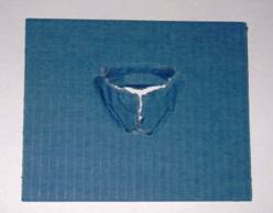 Figure 4. Sample outlook for CT test ISO 3036